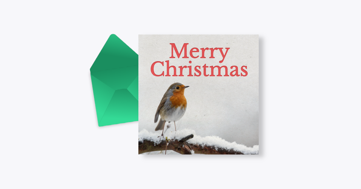 Merry Christmas Robin | EcoGifts from Friends of the Earth